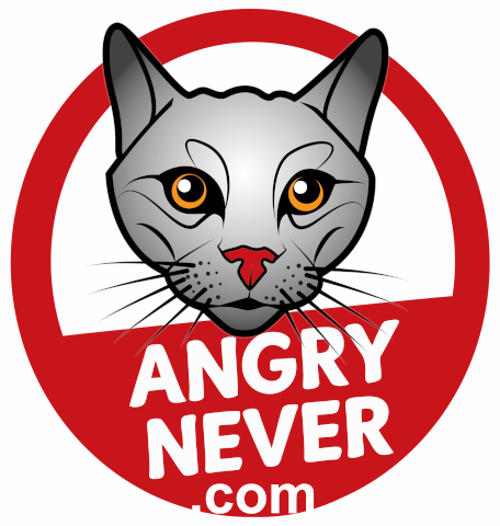 Start - Angry Never